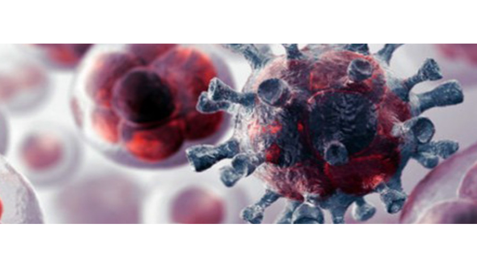 Palestra "Cancro: o que realmente é e como pode ser tratado"